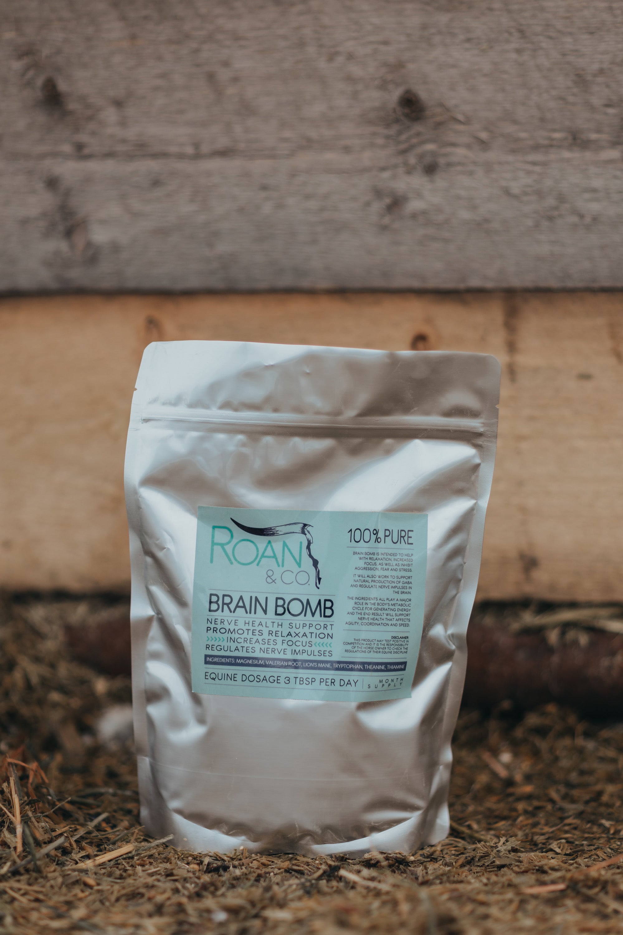 Brain Bomb – roan&co